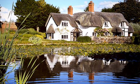 Really TV Channel Listings - Entertainment.ie