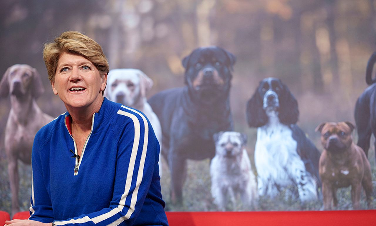 Crufts 2026 - About, TV Listings, On Demand Listings | entertainment.ie