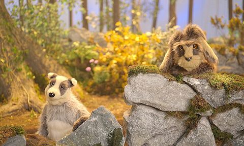 RTÉ Jr TV Channel Listings - Entertainment.ie