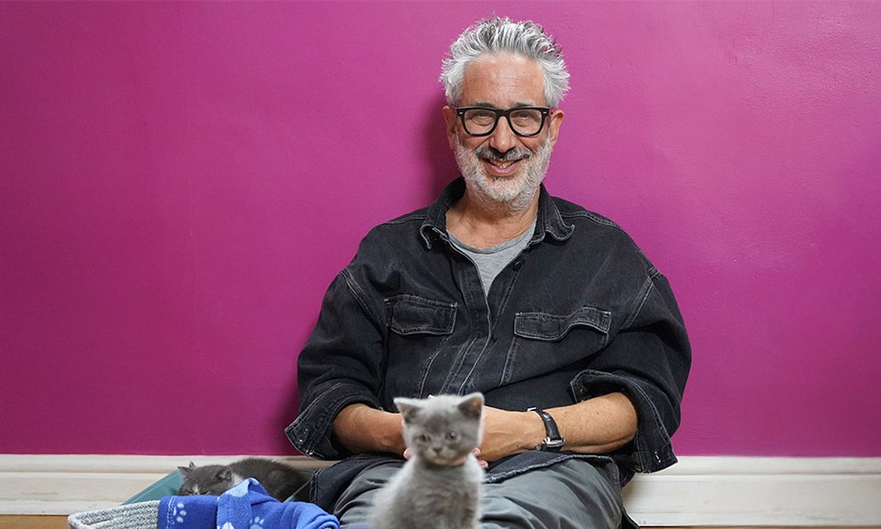 David Baddiel: Cat Man - About, TV Listings, On Demand Listings ...