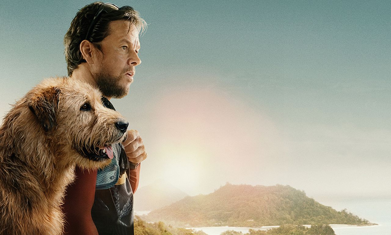 Arthur the King - About, TV Listings, On Demand Listings | entertainment.ie