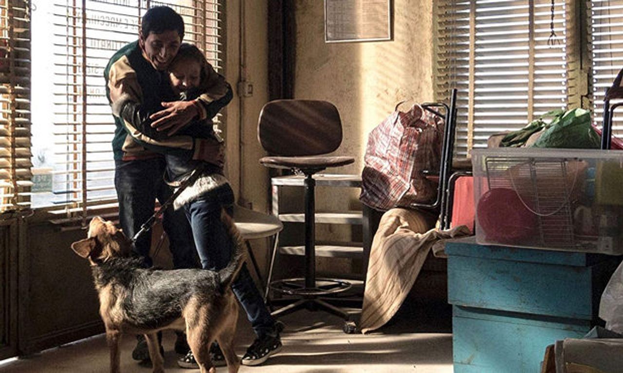 Dogman - Cinema, Movie, Film Review - Entertainment.ie