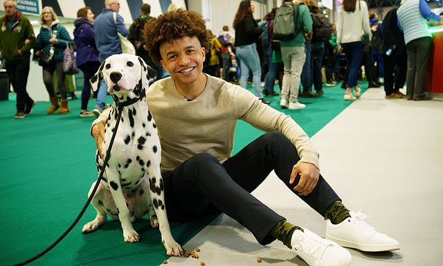 Crufts 2025 - About, TV Listings, On Demand Listings | entertainment.ie