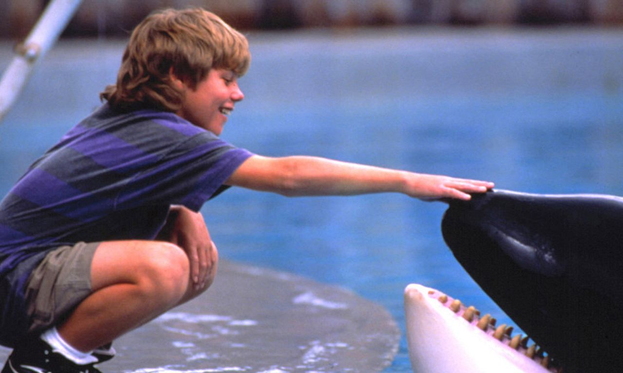 Free Willy - About, TV Listings, On Demand Listings | entertainment.ie