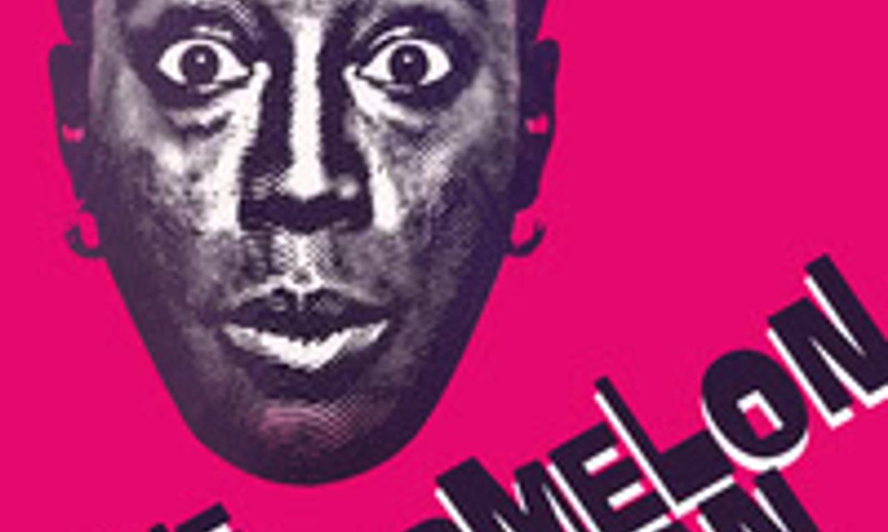 The Watermelon Woman Where To Watch And Stream Online Entertainmentie