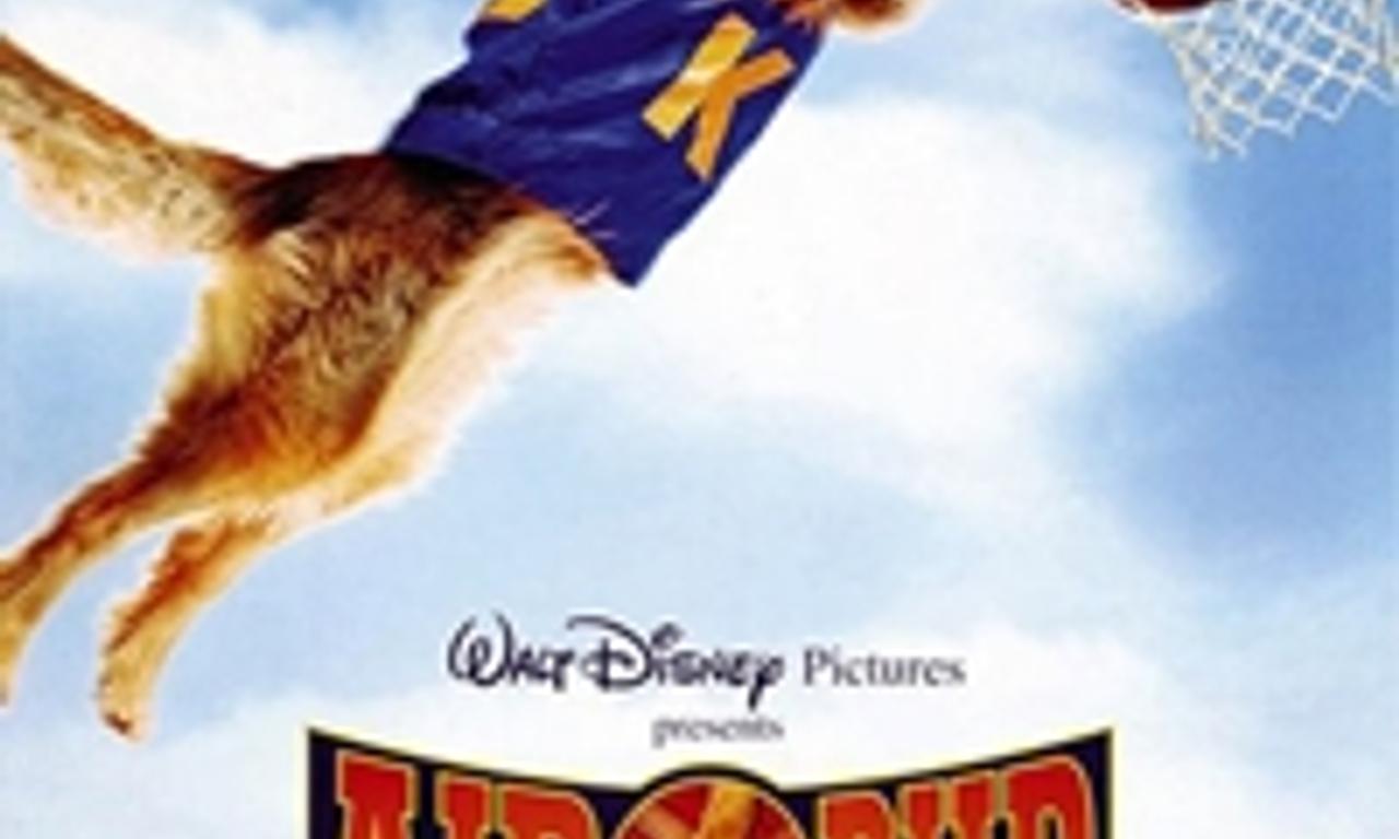 Air Bud - Where to Watch and Stream Online – Entertainment.ie
