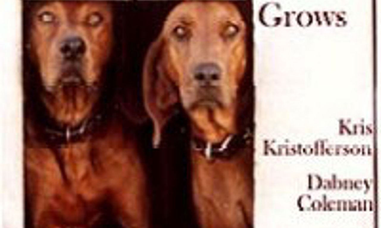 Where the Red Fern Grows - Where to Watch and Stream Online ...