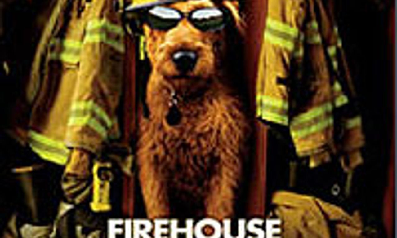 Firehouse Dog - Where to Watch and Stream Online – Entertainment.ie
