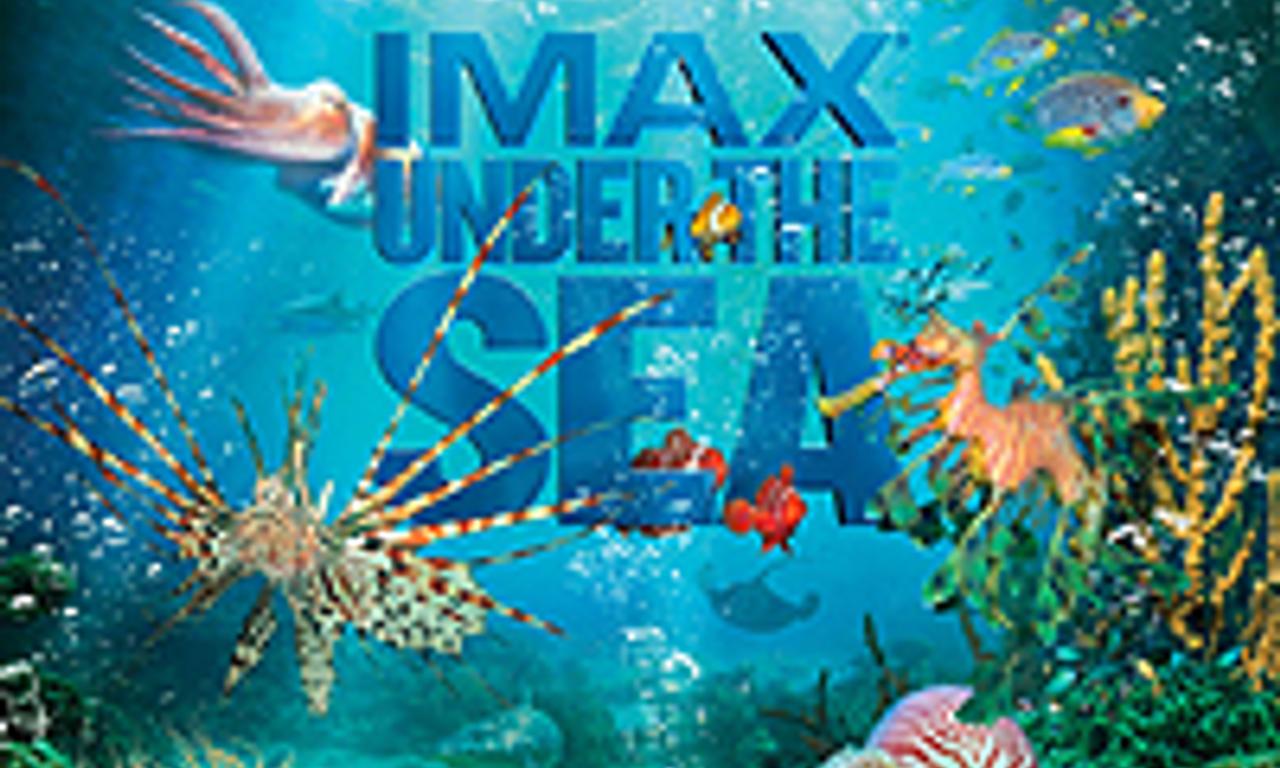 Under the Sea 3D - Where to Watch and Stream Online – Entertainment.ie