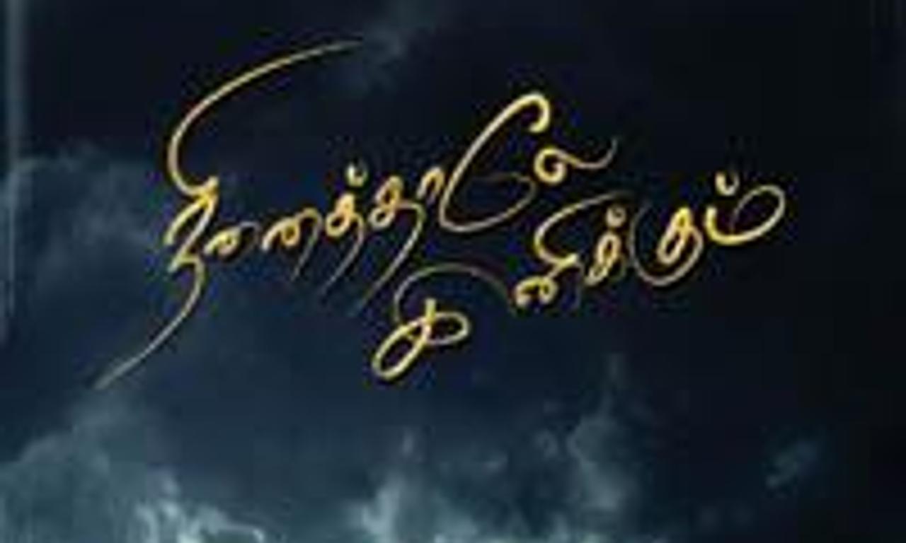 Ninaithale Inikkum - Where to Watch and Stream Online – Entertainment.ie