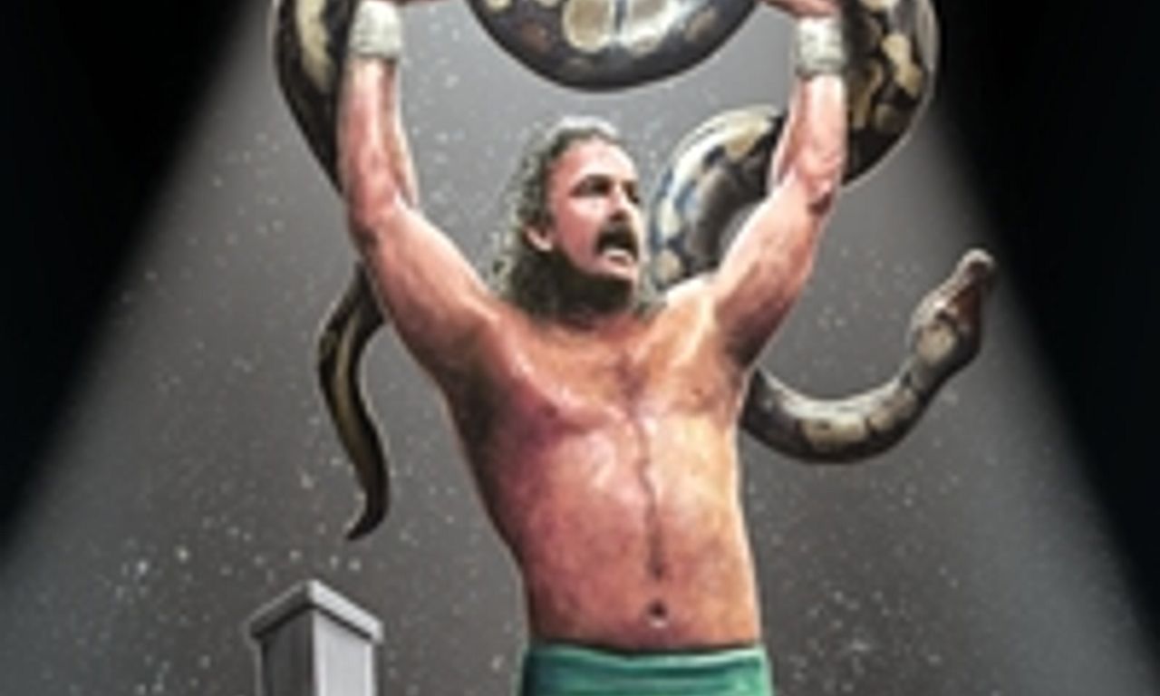 The Resurrection of Jake The Snake - Where to Watch and Stream Online ...