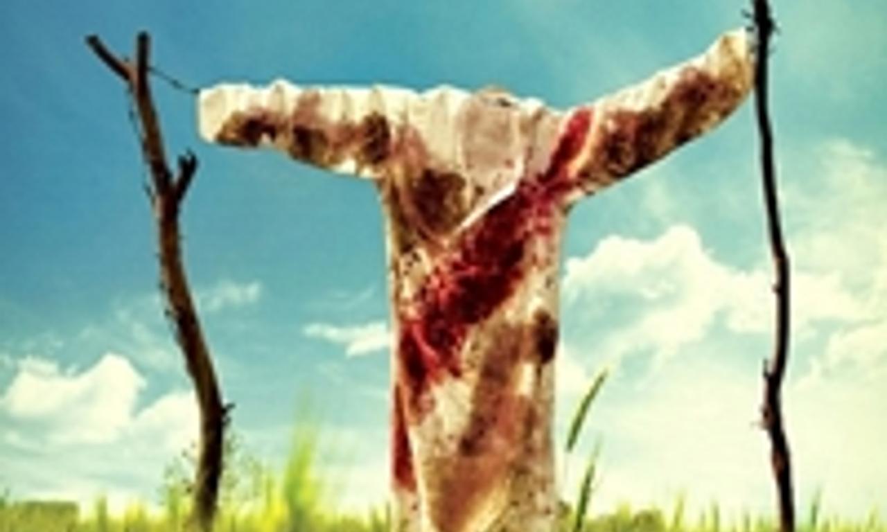 Shareek - Where to Watch and Stream Online – Entertainment.ie