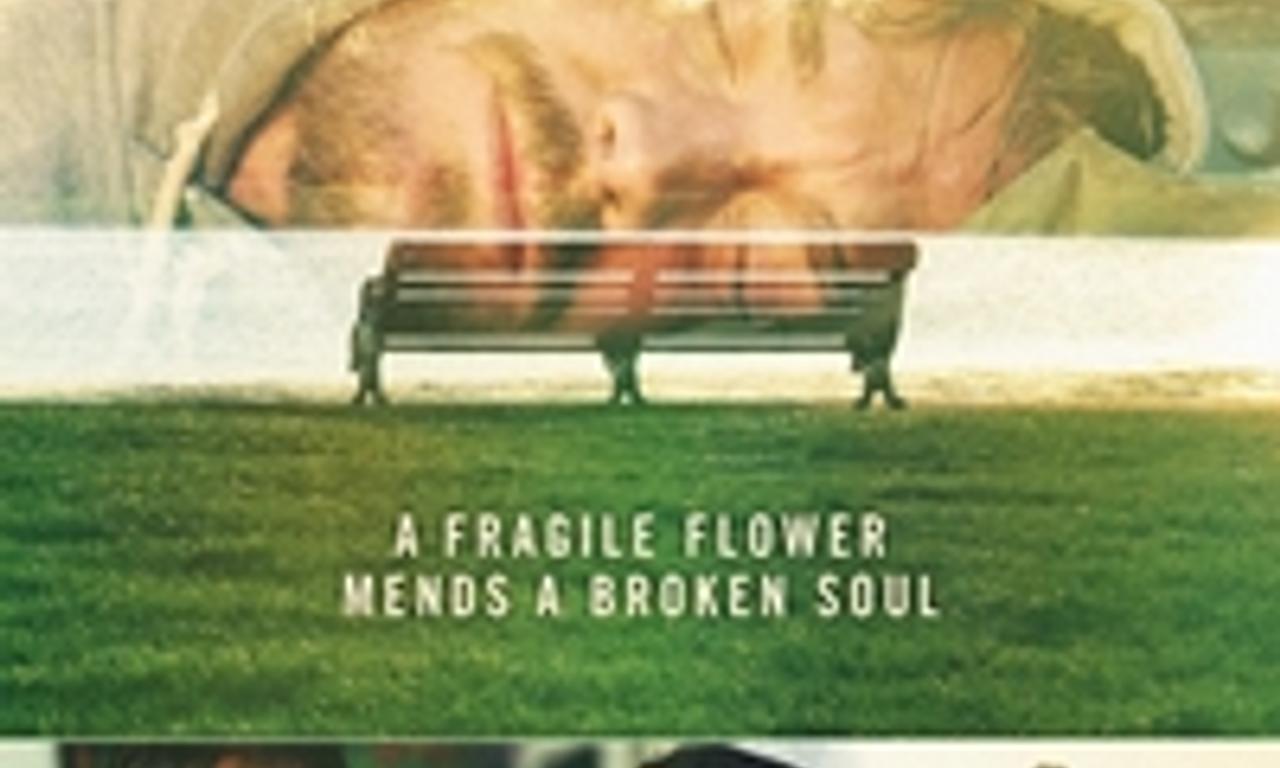 Daisy - Where to Watch and Stream Online – Entertainment.ie