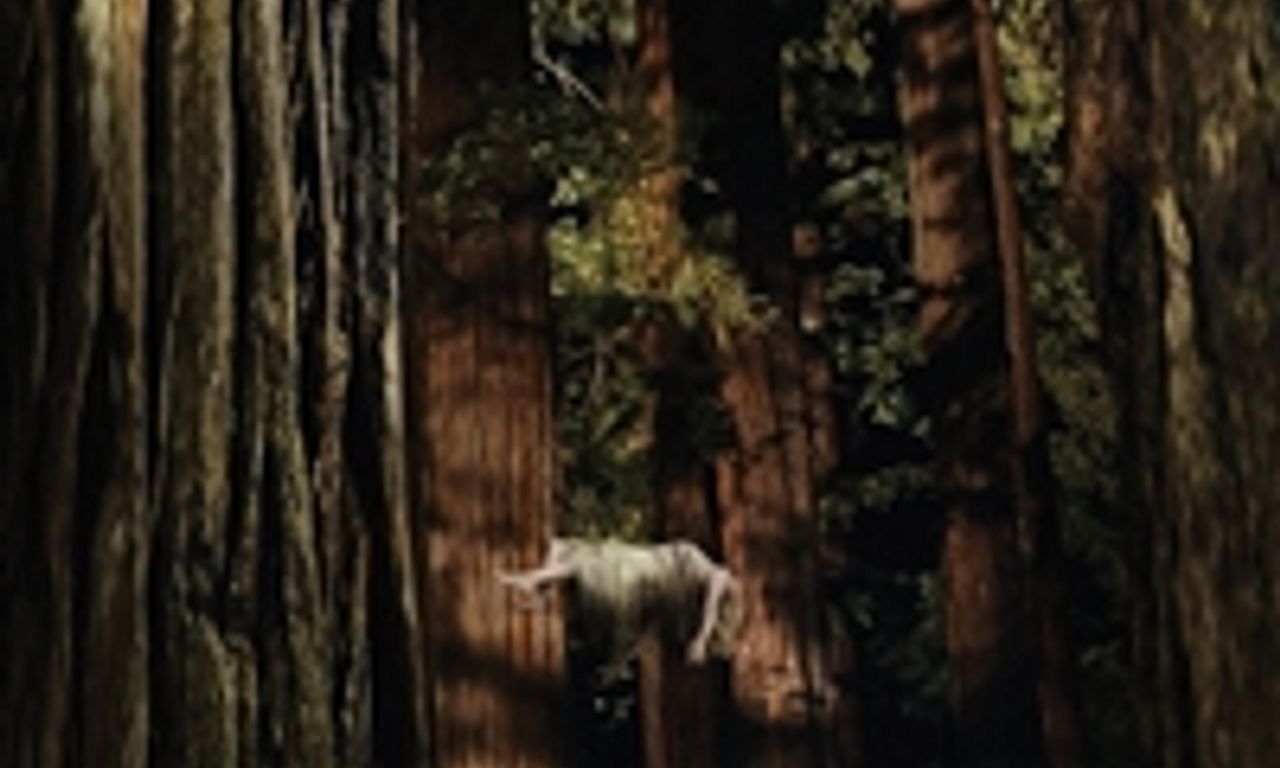 Woodshock - Where to Watch and Stream Online – Entertainment.ie