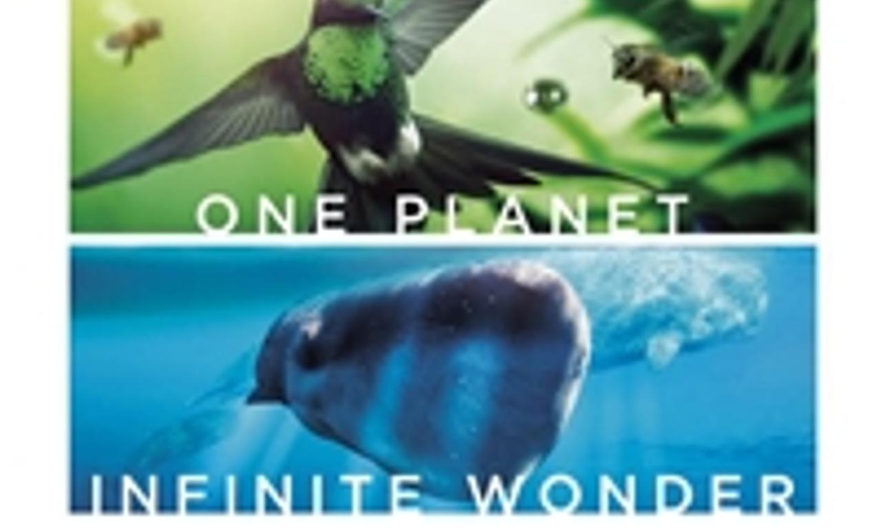 Earth: One Amazing Day - Where to Watch and Stream Online ...