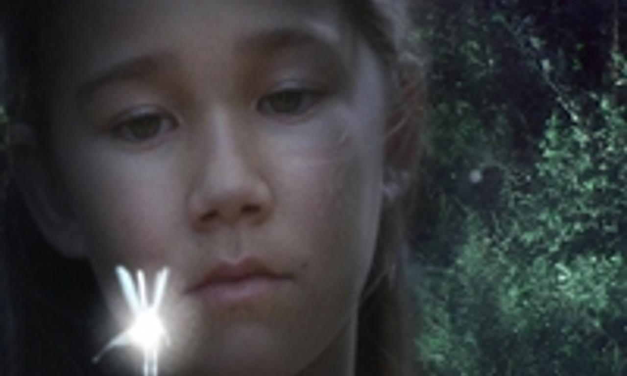 The Storyteller - Where to Watch and Stream Online – Entertainment.ie