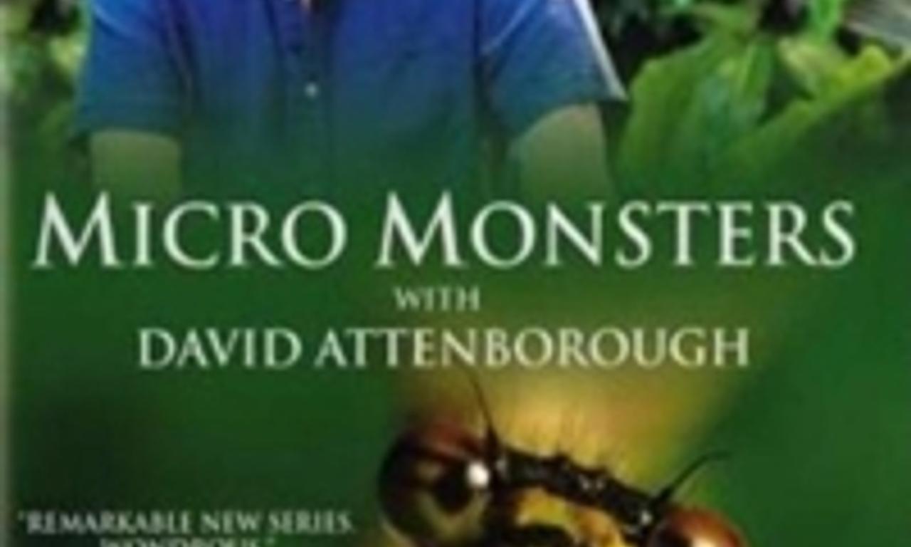 Micro Monsters 3D - Where to Watch and Stream Online – Entertainment.ie