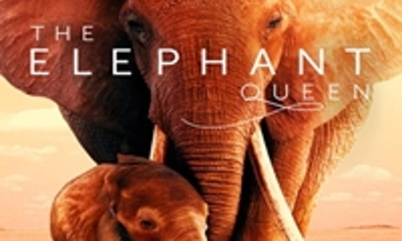 The Elephant Queen - Where to Watch and Stream Online – Entertainment.ie