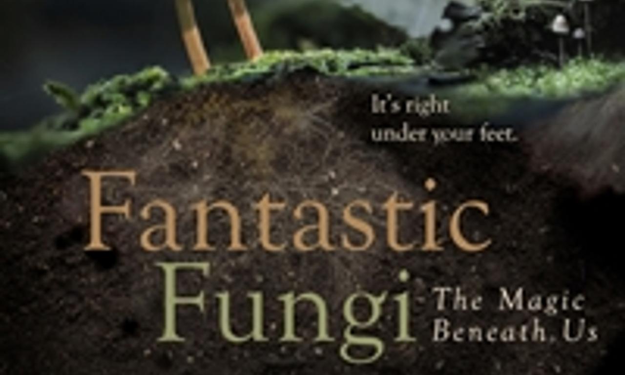 Fantastic Fungi - Where to Watch and Stream Online – Entertainment.ie