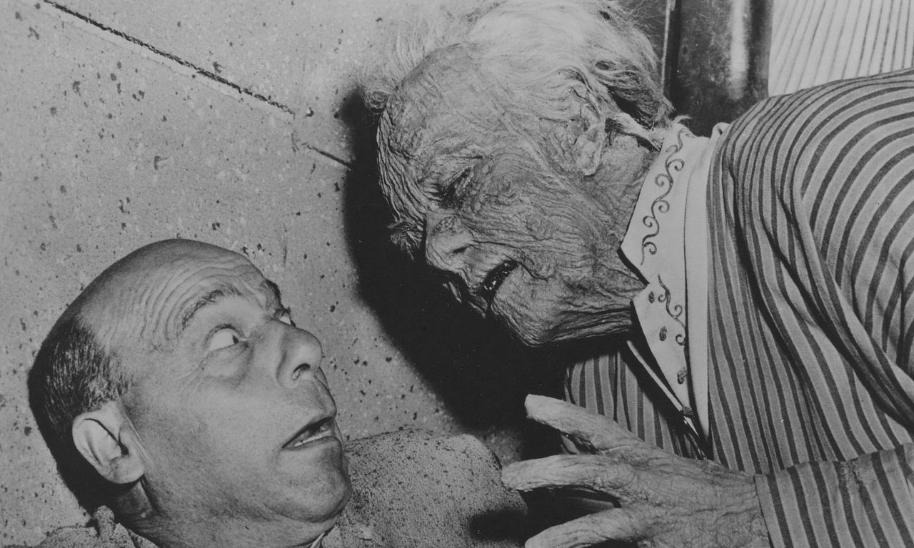 Pharaoh's Curse - Where to Watch and Stream Online – Entertainment.ie