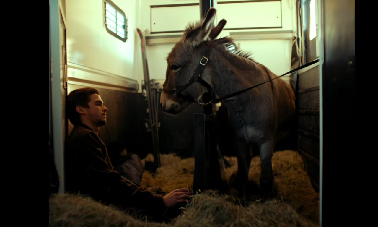 EO - Where to Watch and Stream Online – Entertainment.ie