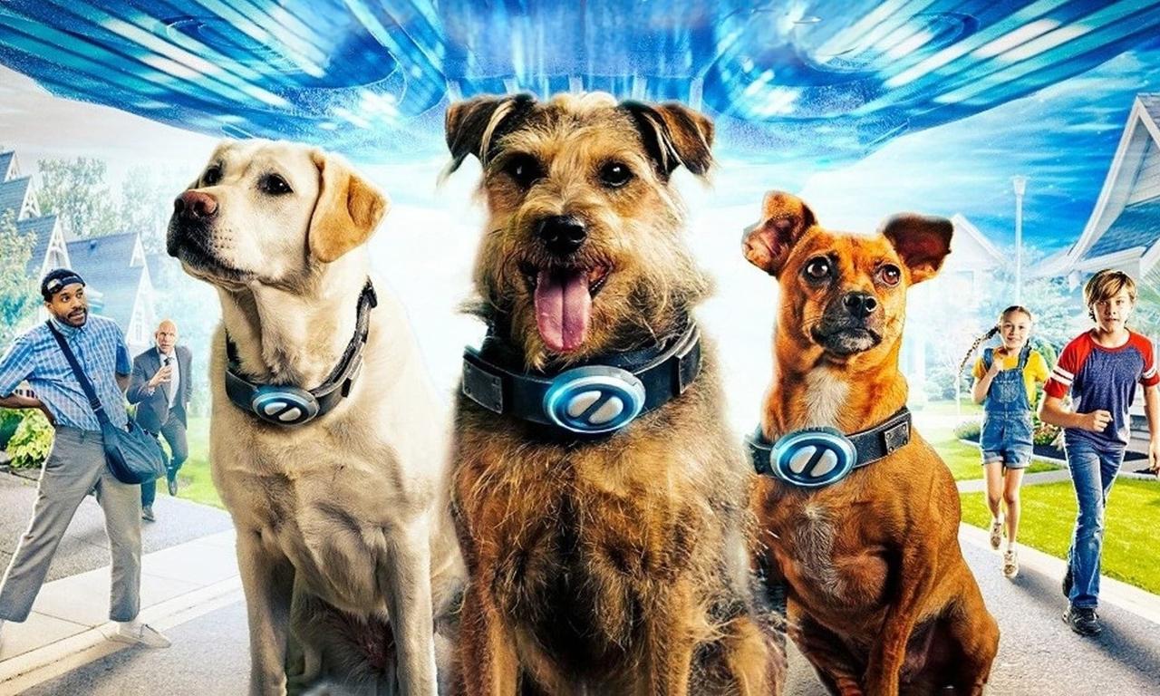 Space Pups - Where to Watch and Stream Online – Entertainment.ie