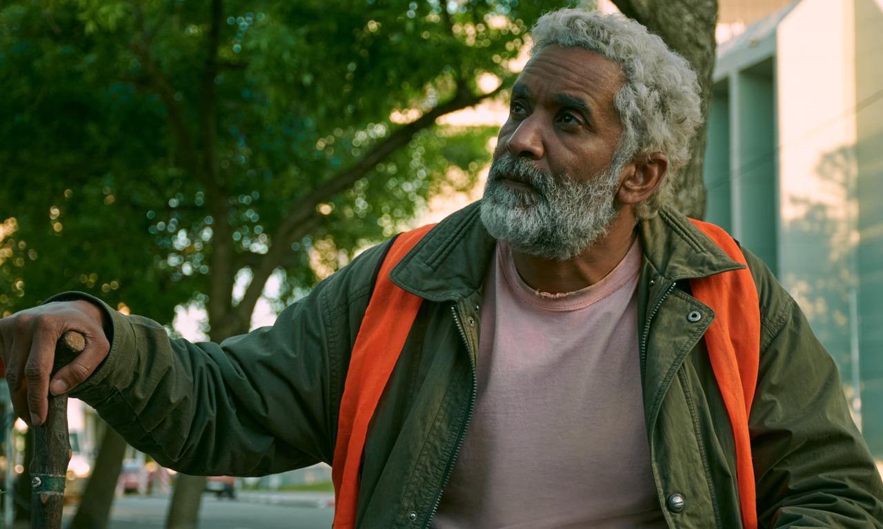 Togo - Where to Watch and Stream Online – Entertainment.ie