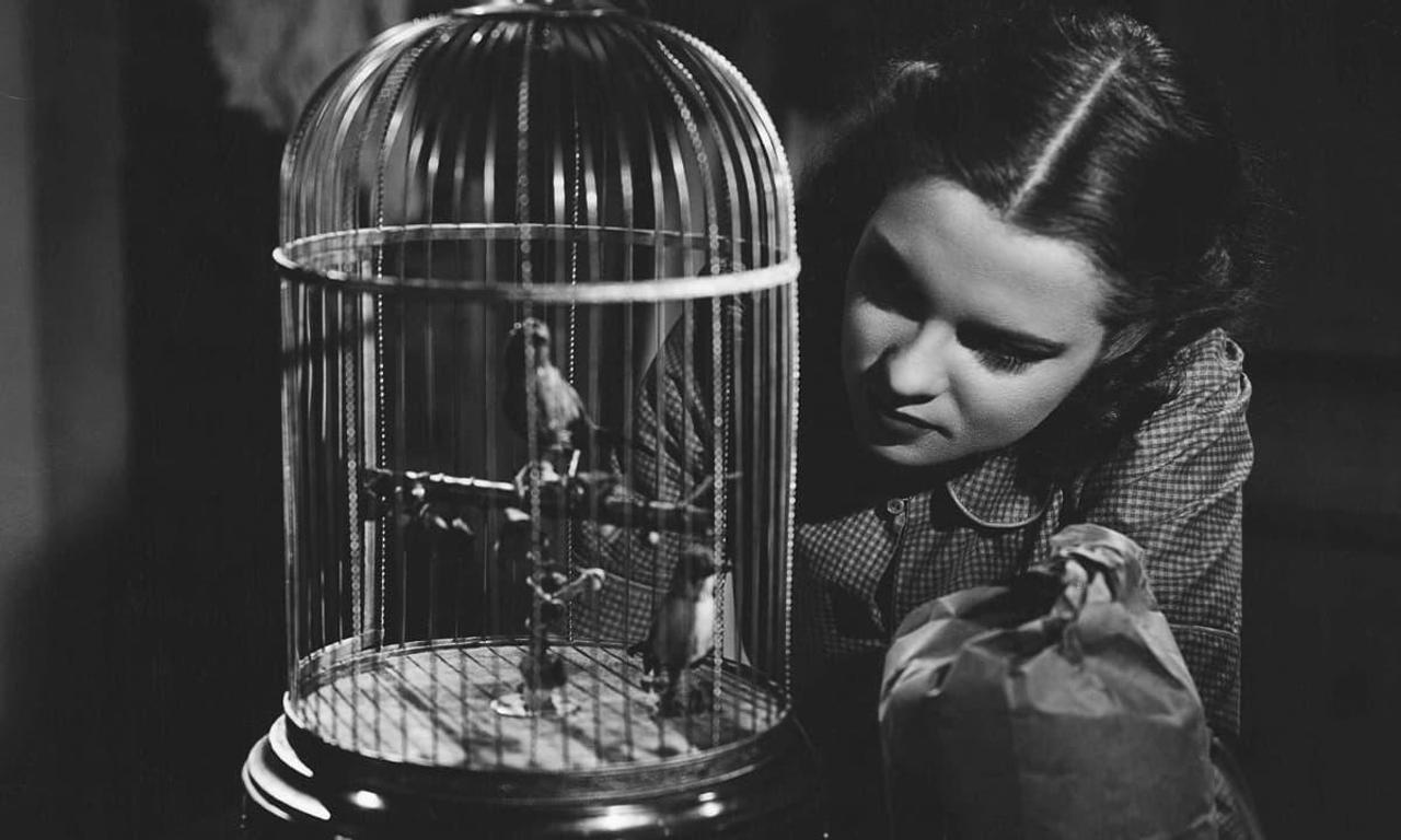 The Leopard Man - Where to Watch and Stream Online – Entertainment.ie