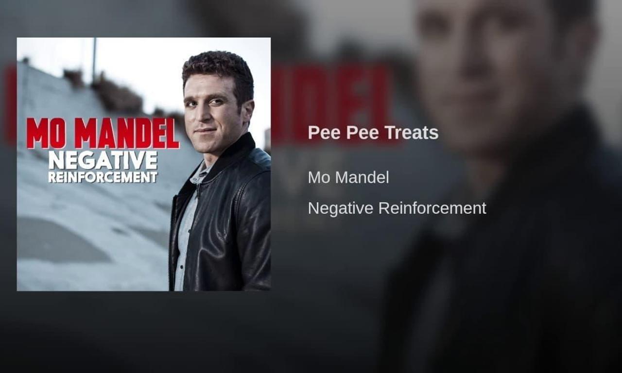 Mo Mandel: Negative Reinforcement - Where to Watch and Stream Online – Entertainment.ie