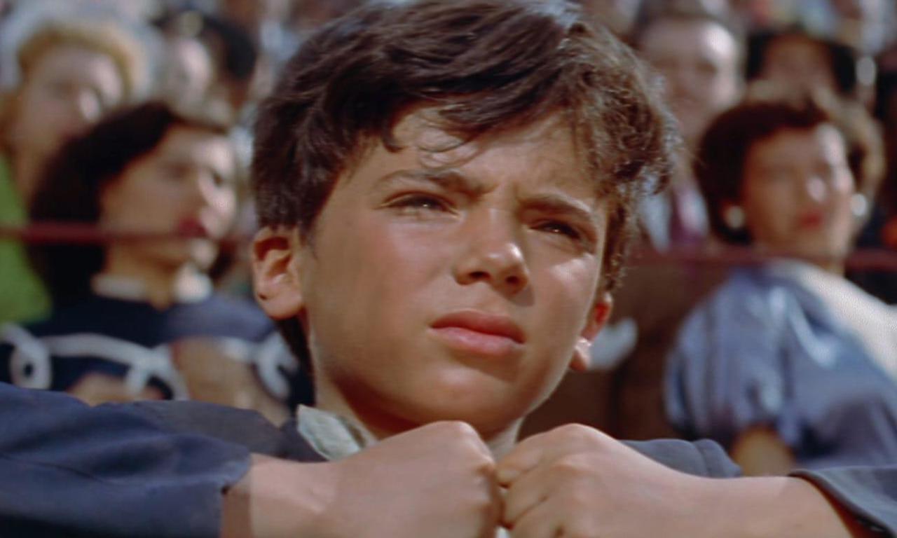 The Brave One - Where to Watch and Stream Online – Entertainment.ie