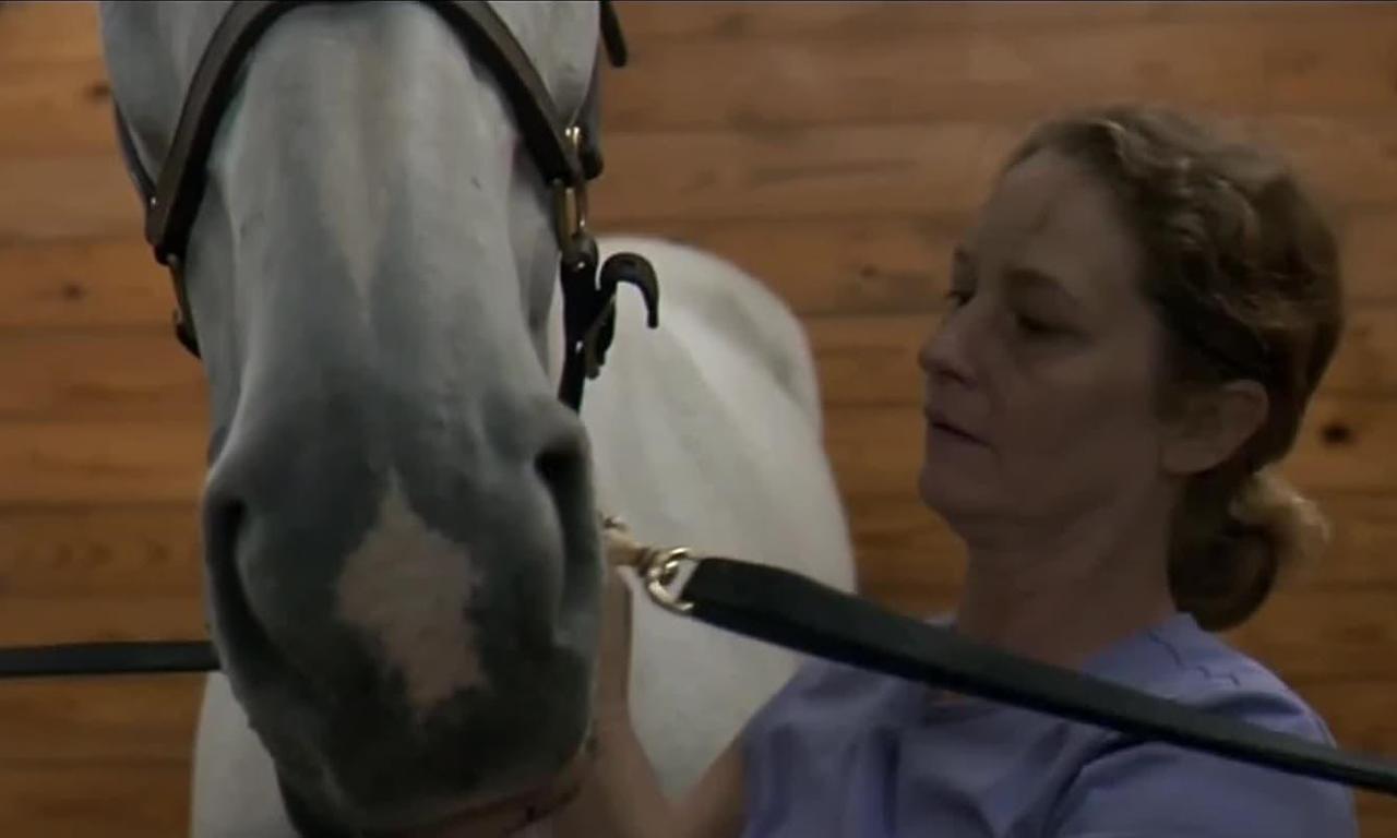 Francine - Where to Watch and Stream Online – Entertainment.ie