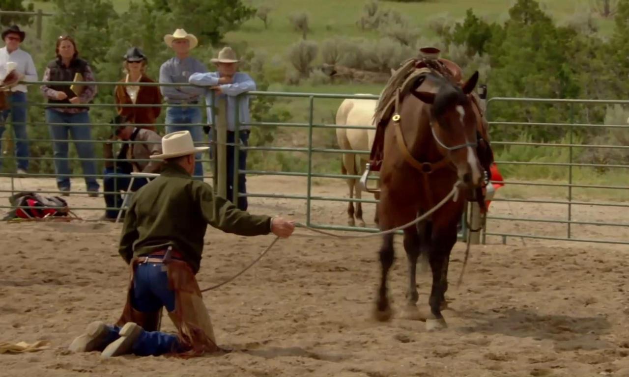 Buck - Where to Watch and Stream Online – Entertainment.ie