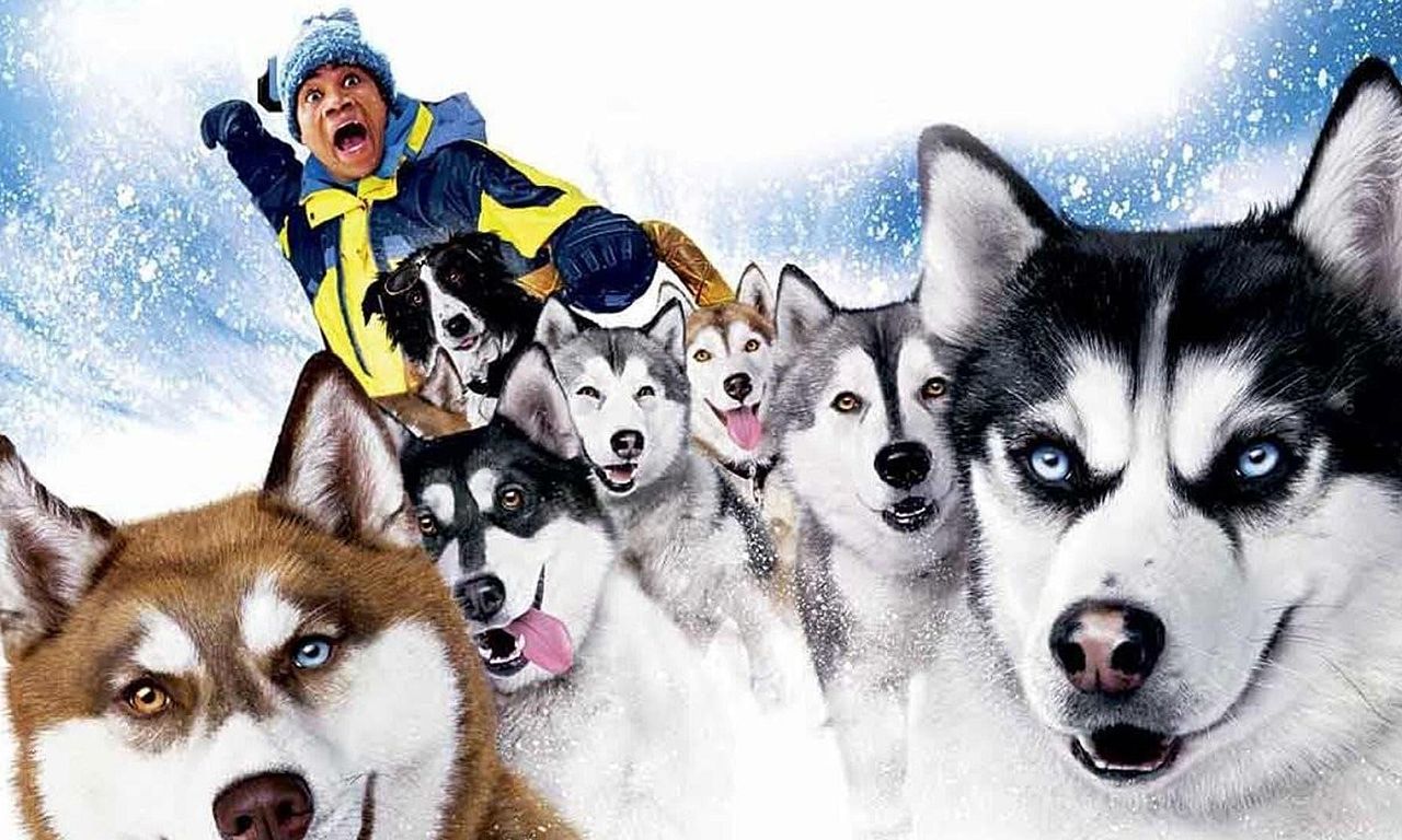 Snow Dogs - Where to Watch and Stream Online – Entertainment.ie
