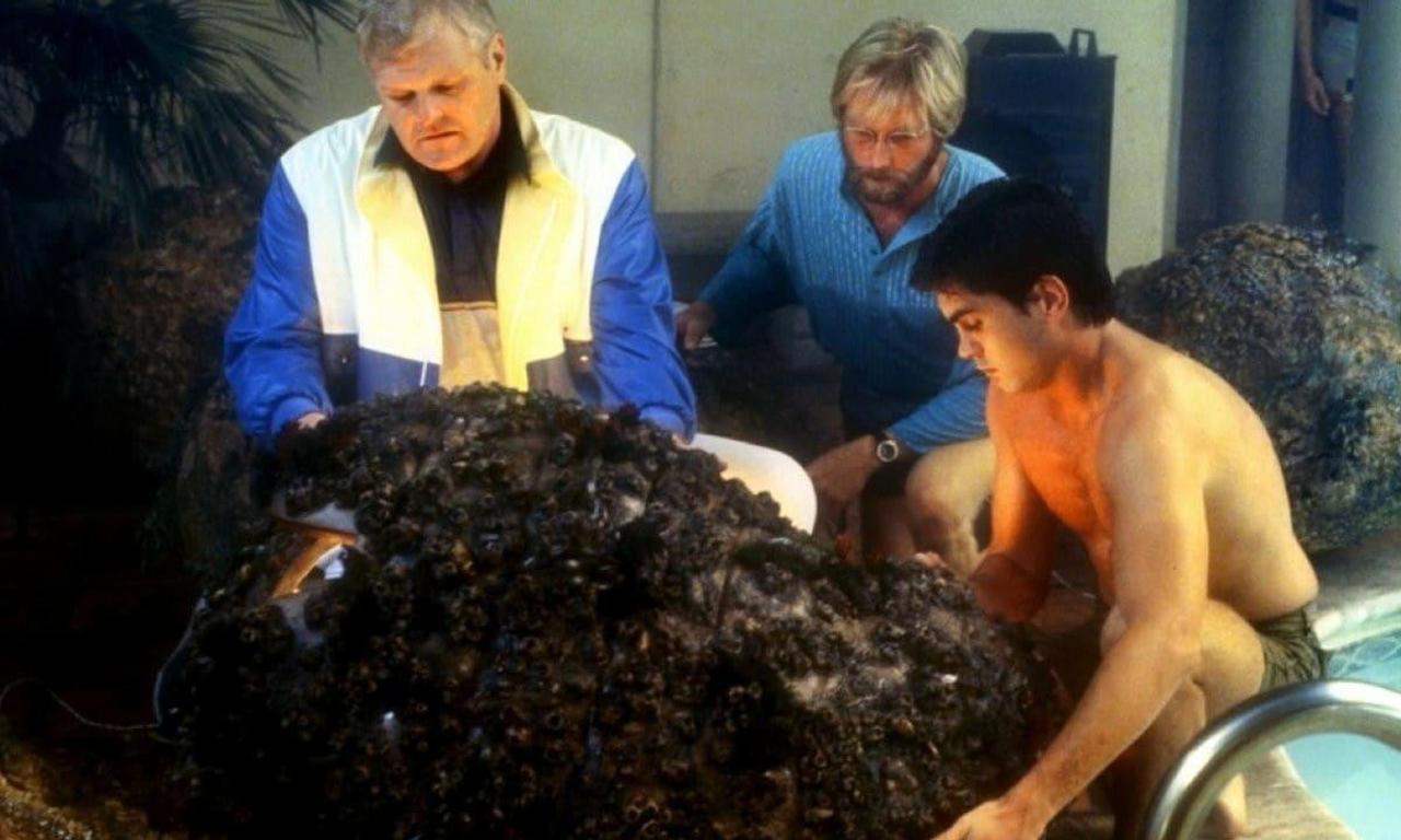 Cocoon - Where to Watch and Stream Online – Entertainment.ie