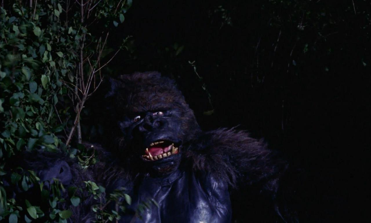 Konga - Where to Watch and Stream Online – Entertainment.ie