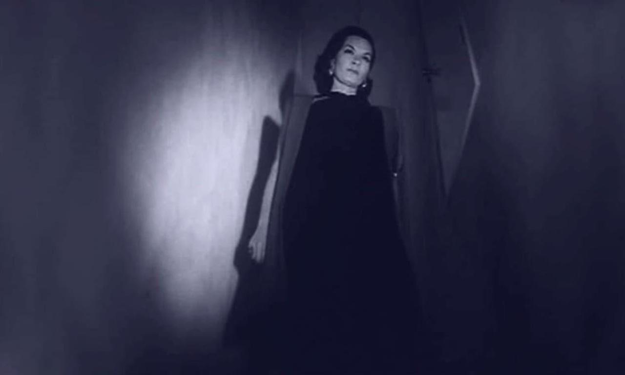 Teenage Zombies - Where to Watch and Stream Online – Entertainment.ie