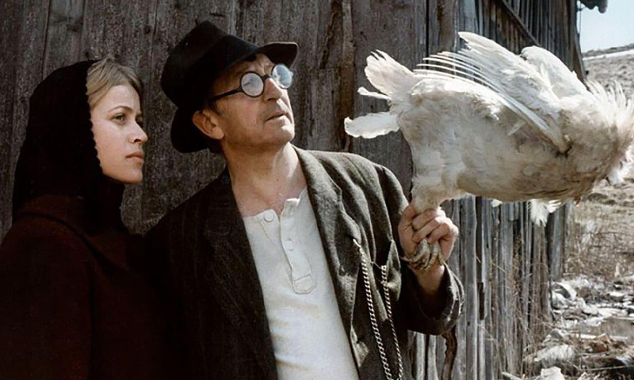 Sugar House - Where to Watch and Stream Online – Entertainment.ie