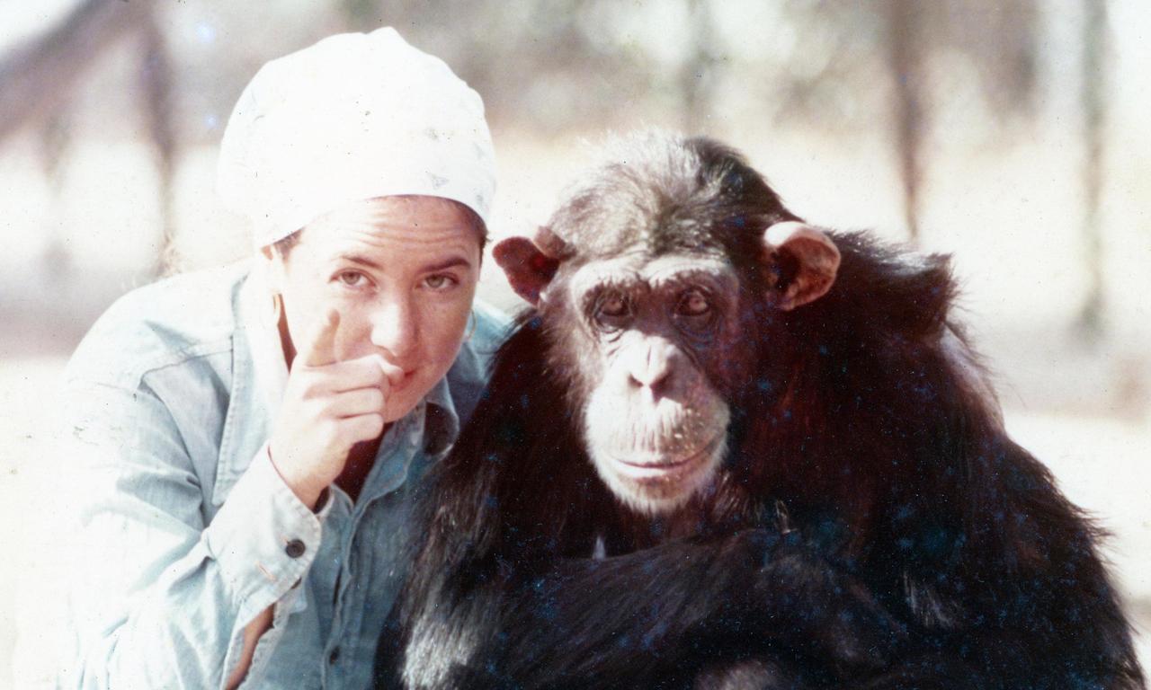 Lucy the Human Chimp - Where to Watch and Stream Online – Entertainment.ie