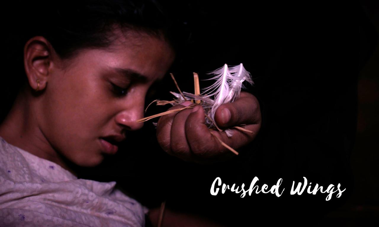 Crushed Wings - Where to Watch and Stream Online – Entertainment.ie