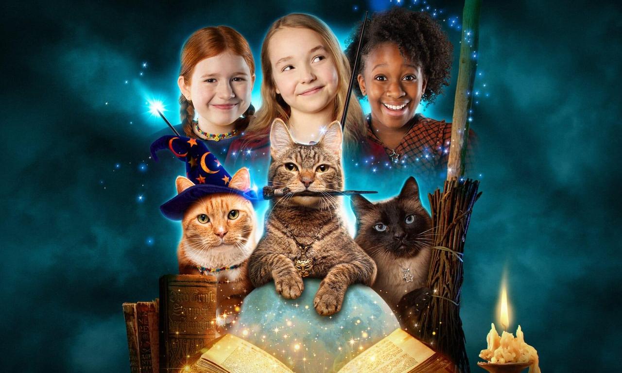 Scaredy Cats - Where to Watch and Stream Online – Entertainment.ie