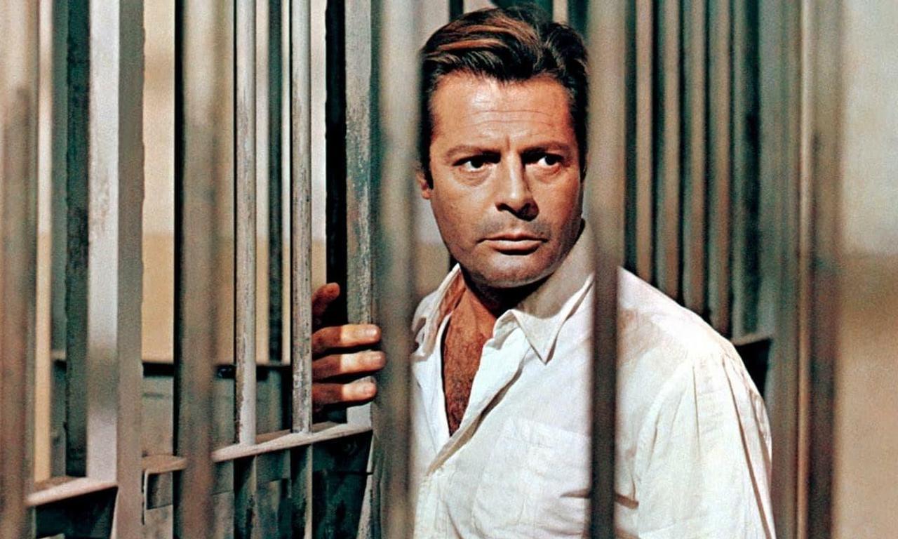 The Stranger - Where to Watch and Stream Online – Entertainment.ie