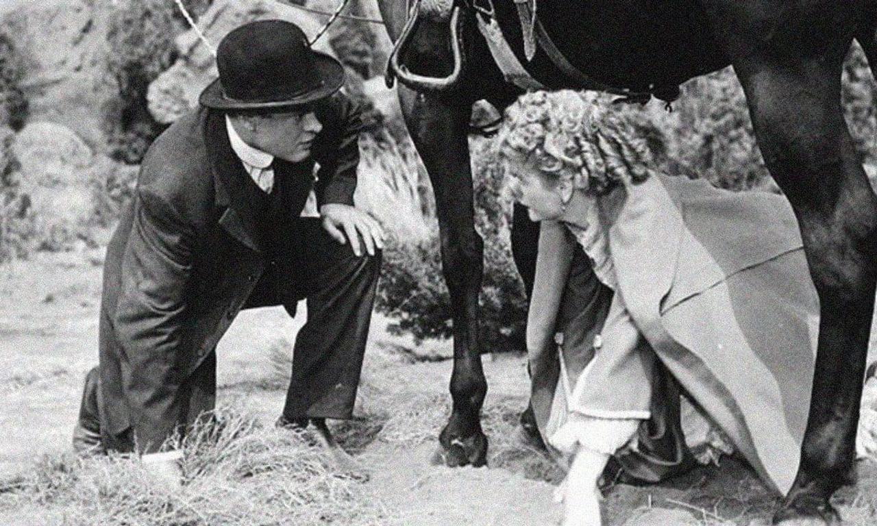 Fancy Pants - Where to Watch and Stream Online – Entertainment.ie