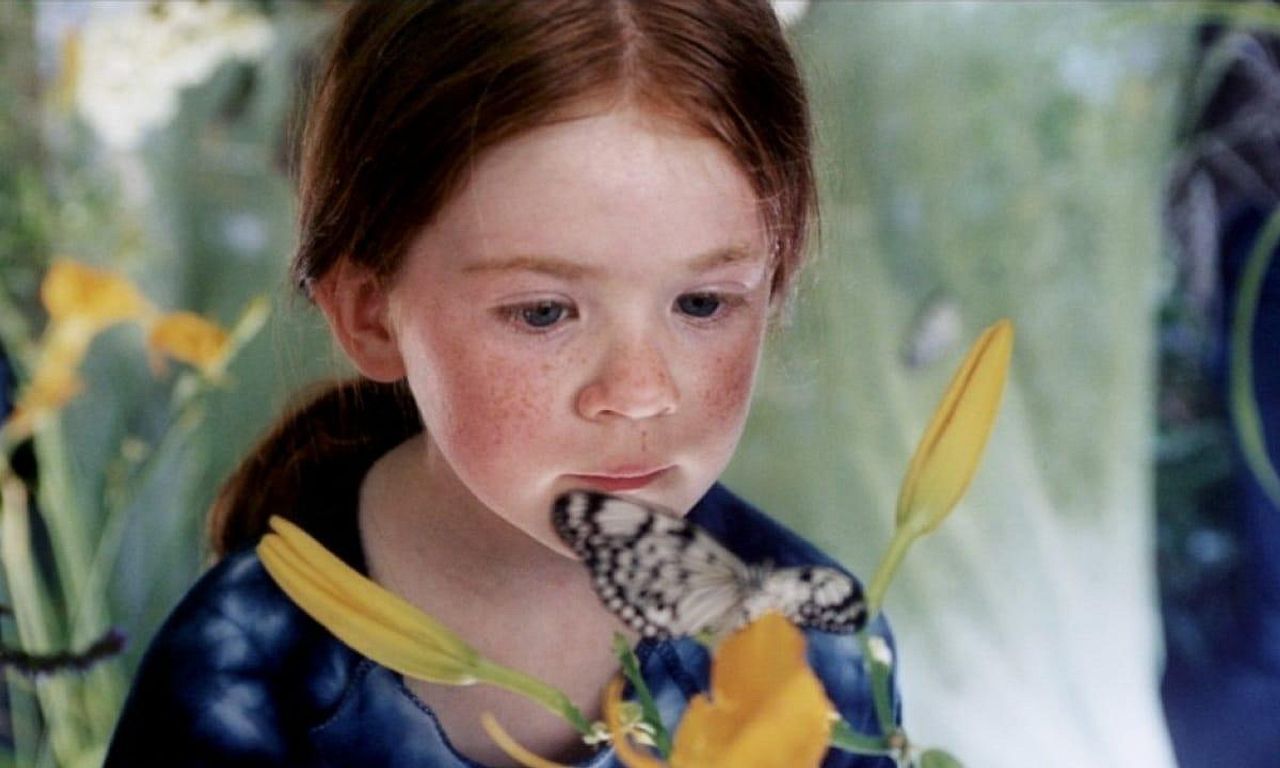 The Butterfly - Where to Watch and Stream Online – Entertainment.ie