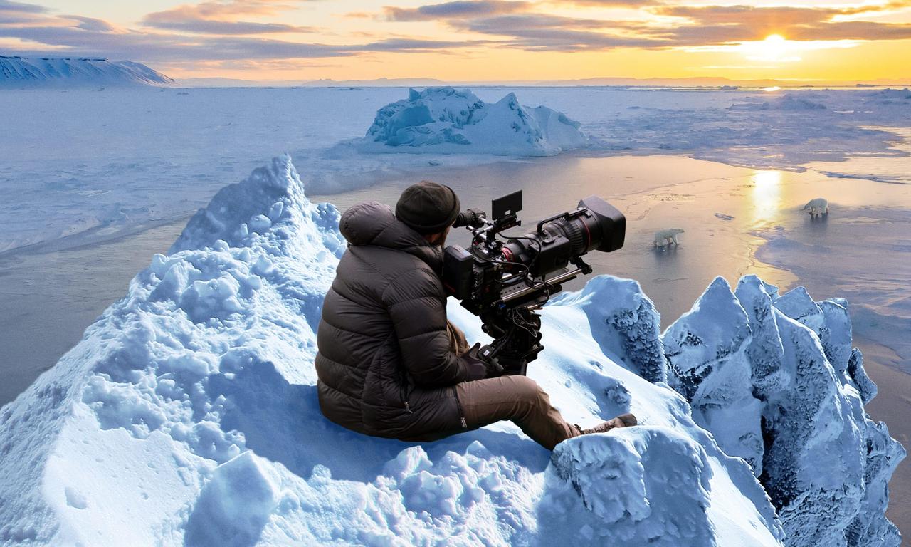 Bear Witness - Where to Watch and Stream Online – Entertainment.ie