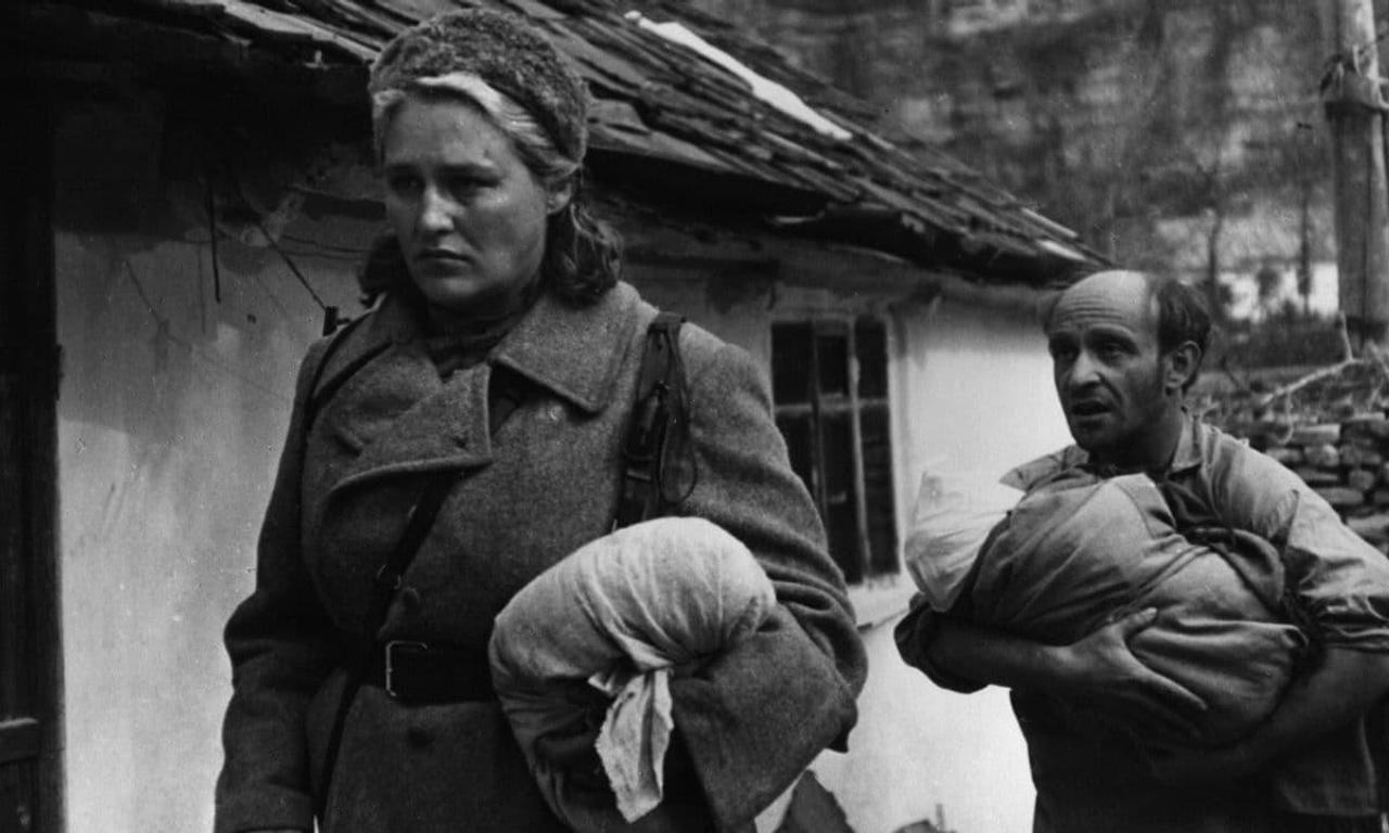 The Commissar - Where to Watch and Stream Online – Entertainment.ie