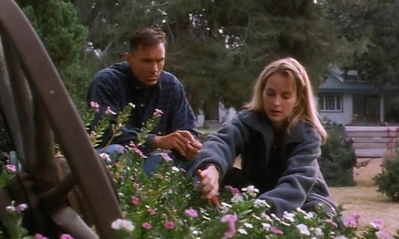 T.N.T. - Where to Watch and Stream Online – Entertainment.ie