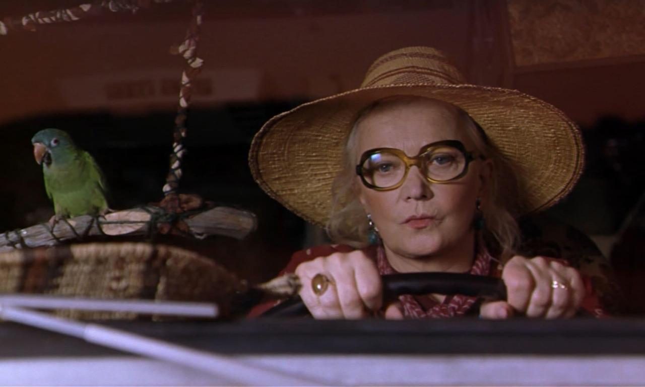 Paulie - Where to Watch and Stream Online – Entertainment.ie