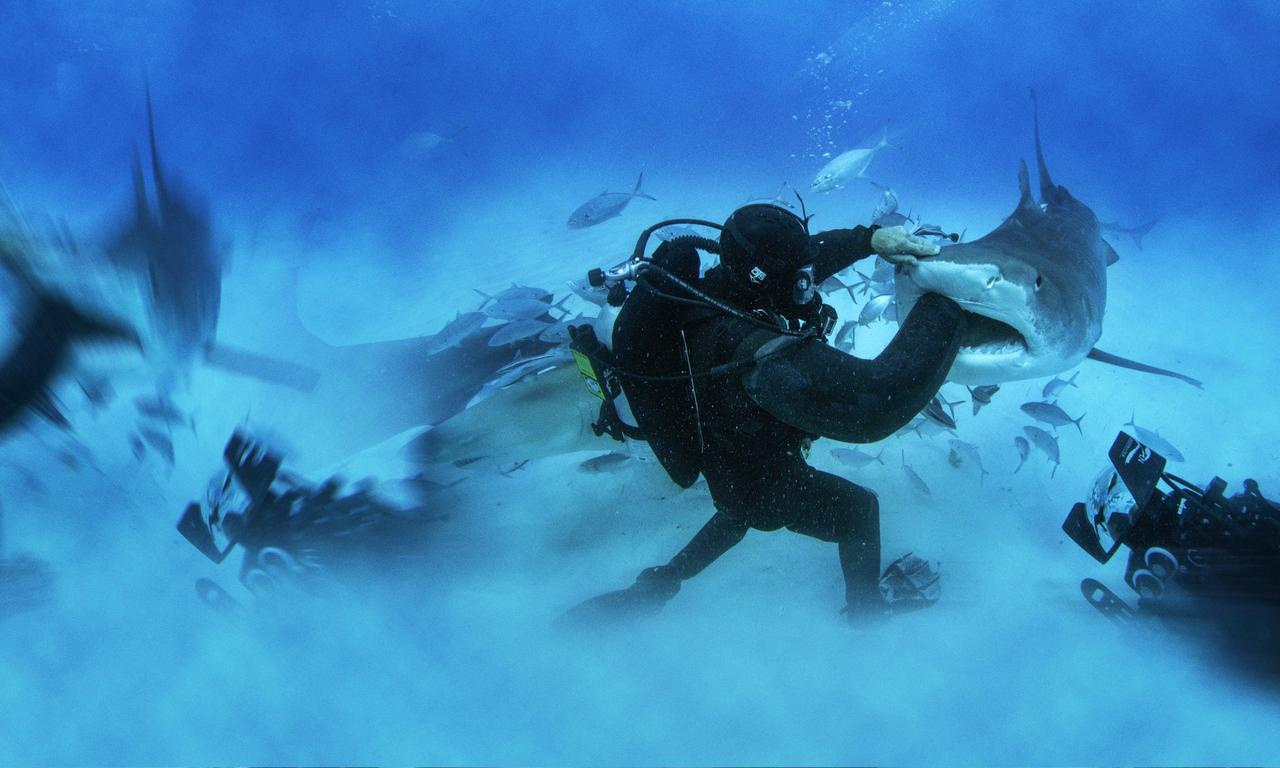 Man vs. Shark - Where to Watch and Stream Online – Entertainment.ie
