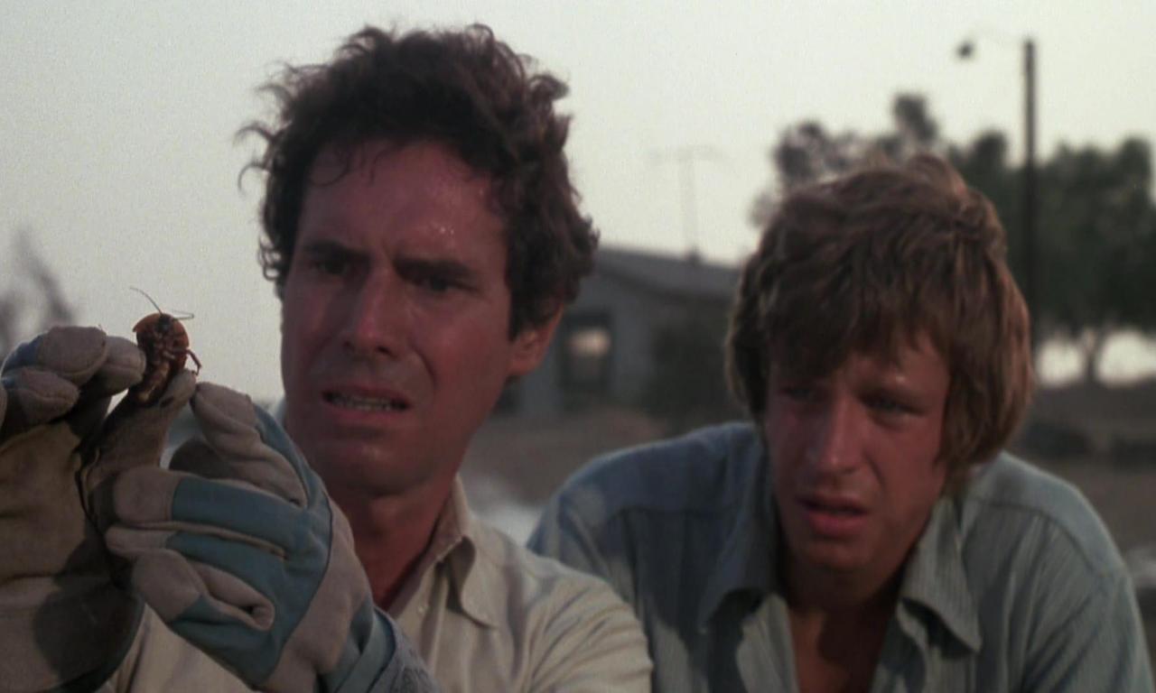 Bug - Where to Watch and Stream Online – Entertainment.ie