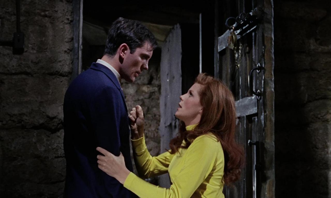 The Collector - Where to Watch and Stream Online – Entertainment.ie